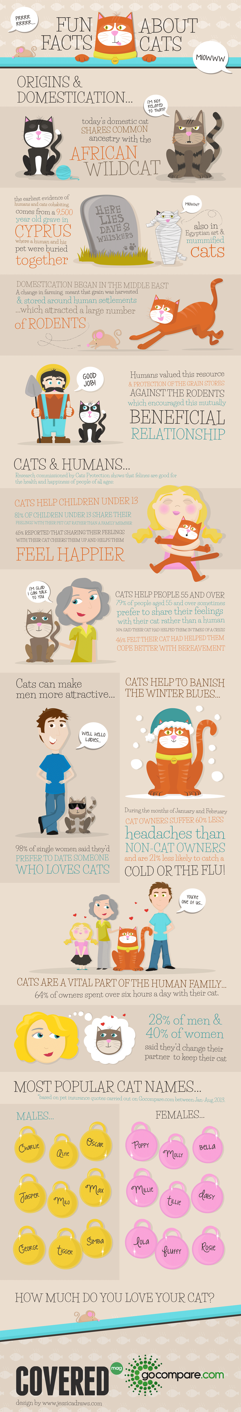 Fun Facts About Cats Infographic Fun Facts About Cats Infographic