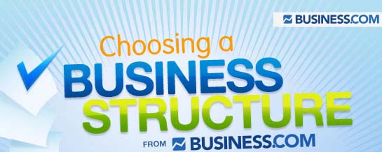 Choosing a Business Structure [Infographic]