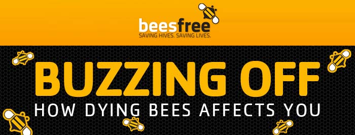 Buzzing Off: How Dying Bees Affect You [Infographic]