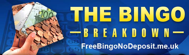 The Bingo Breakdown [Infographic]