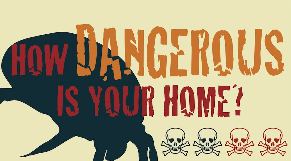 How Dangerous is Your Home? [Infographic]