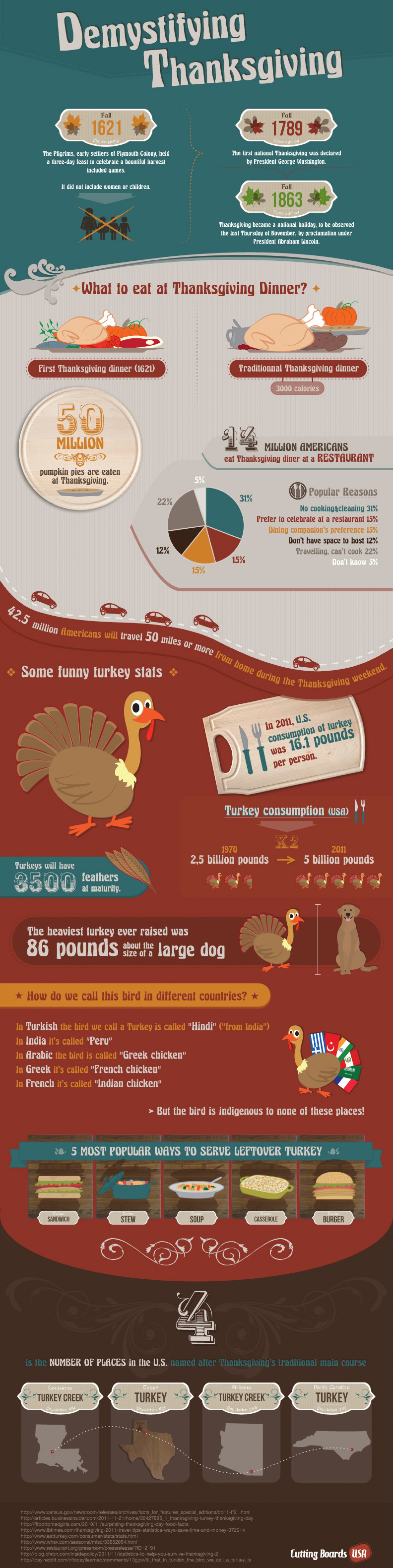 Demystifying Thanksgiving Infographic 