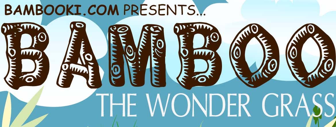 Bamboo: The Wonder Grass [Infographic]