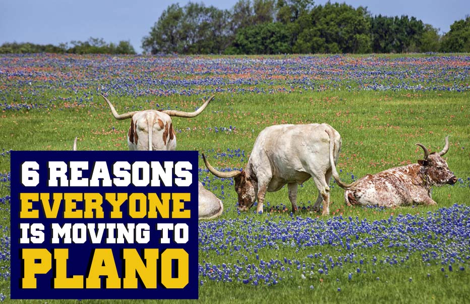 6 Reasons Why Everyone is Moving to Plano [Infographic]