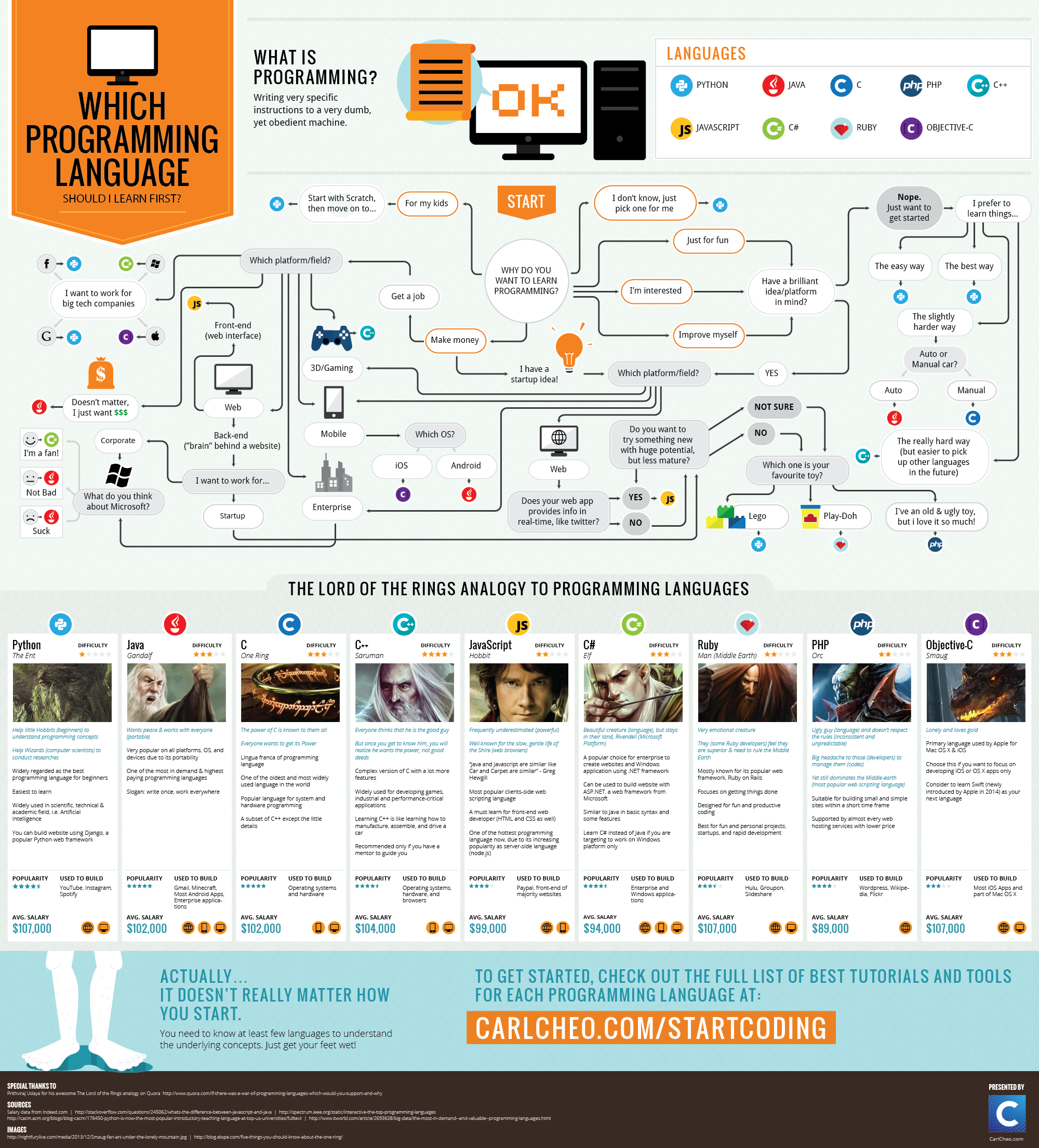 Which Programming Language Should I Learn First Infographic 