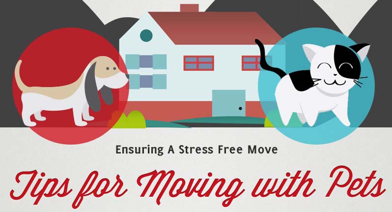 Moving Home with Pets [Infographic]