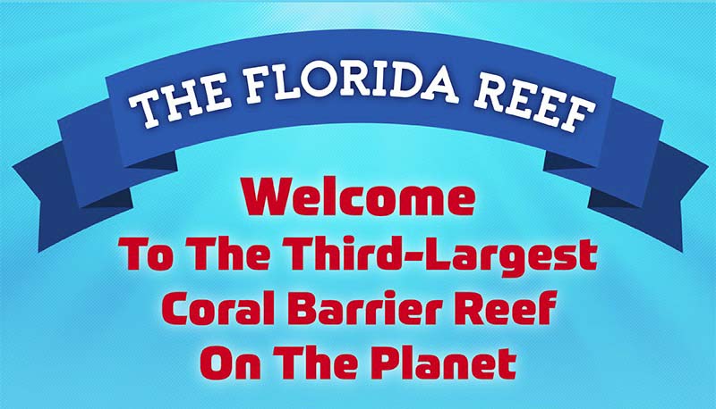 The Florida Reef [Infographic]