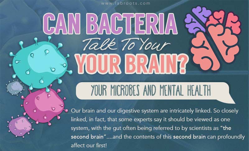 Can Bacteria Talk to Your Brain? [Infographic]