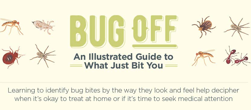 Bug Off - An Illustrated Guide To What Just Bit You
