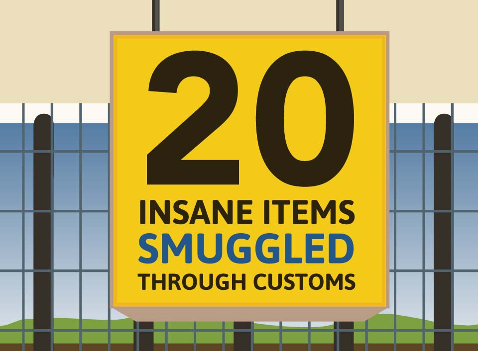 20 Insane Items Smuggled Through Customs [Infographic]