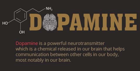 12 Facts About Dopamine You Didn’t Know [Infographic]