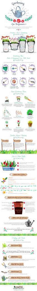 Gardening for Beginners [Infographic]