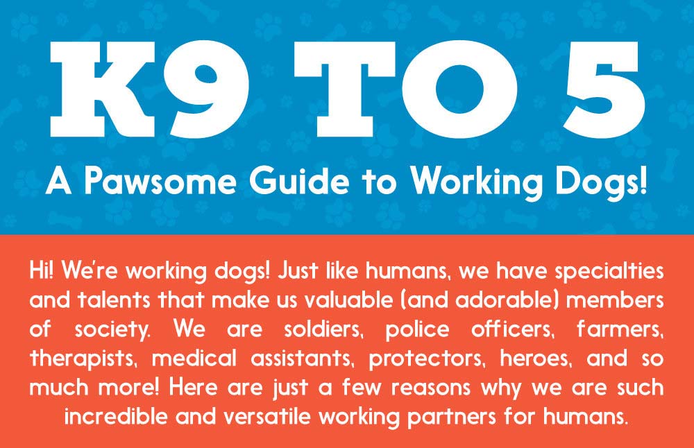 K9 to 5: A Pawsome Guide to Working Dogs [Infographic]