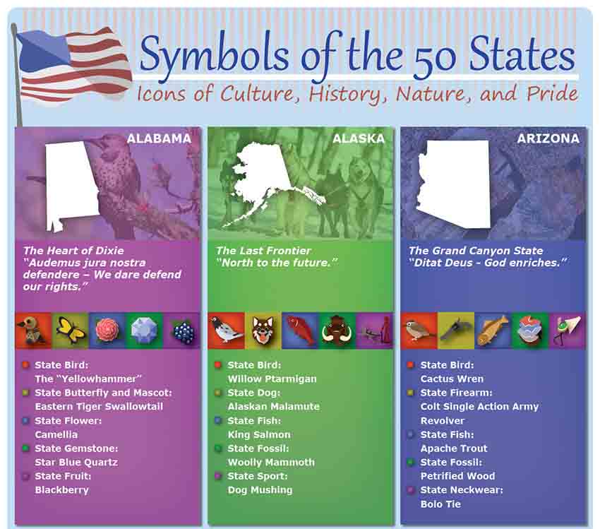 Symbols Of The 50 States Icons Of Culture History Nature And Pride Symbols Of The 50 States Icons Of Culture History Nature And Pride