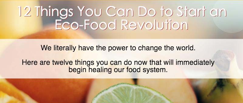 12 Things to Start an Eco-Food Revolution [Infographic]