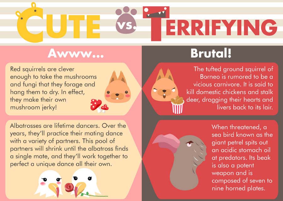 Cute vs Terrifying Facts About Animals [Infographic]