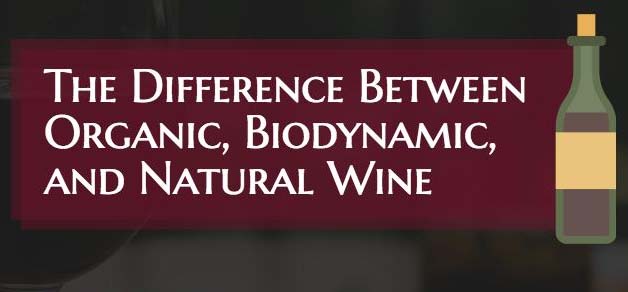 The Difference Between Organic, Biodynamic, and Natural Wine [Infographic]