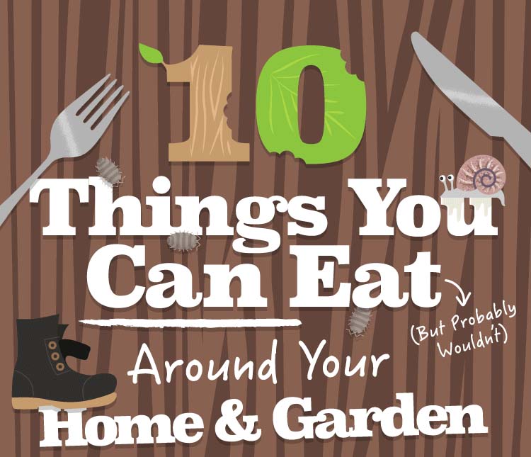 The Craziest Things You Can Eat Around the Home [Infographic]