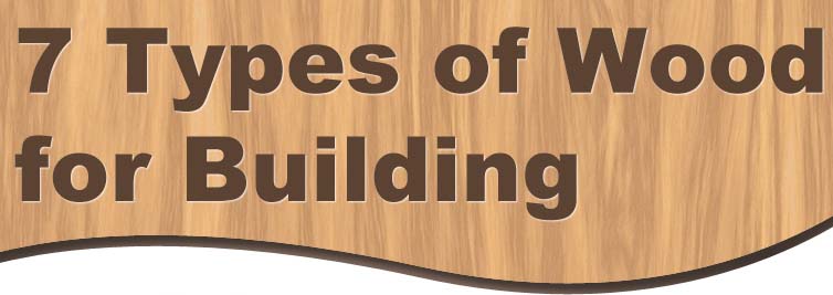 Types of Wood for Shed Building [Infographic]