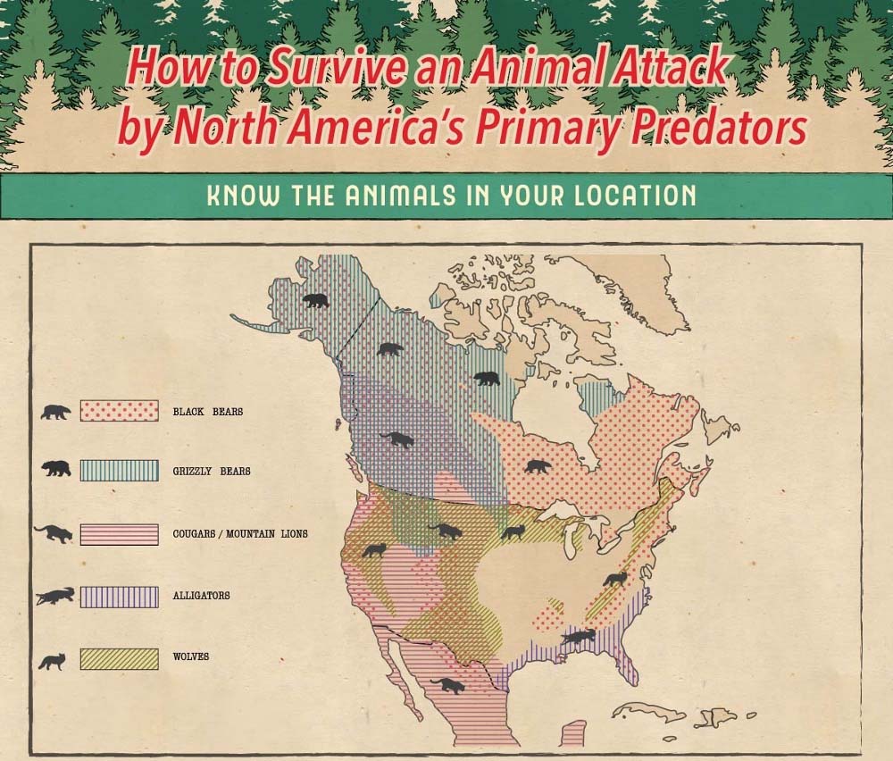 How to Survive an Animal Attack by North America's Primary Predators ...