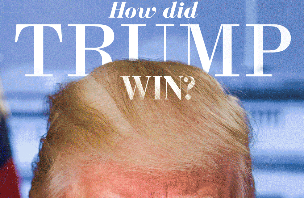 How Did Trump Win? [Infographic]