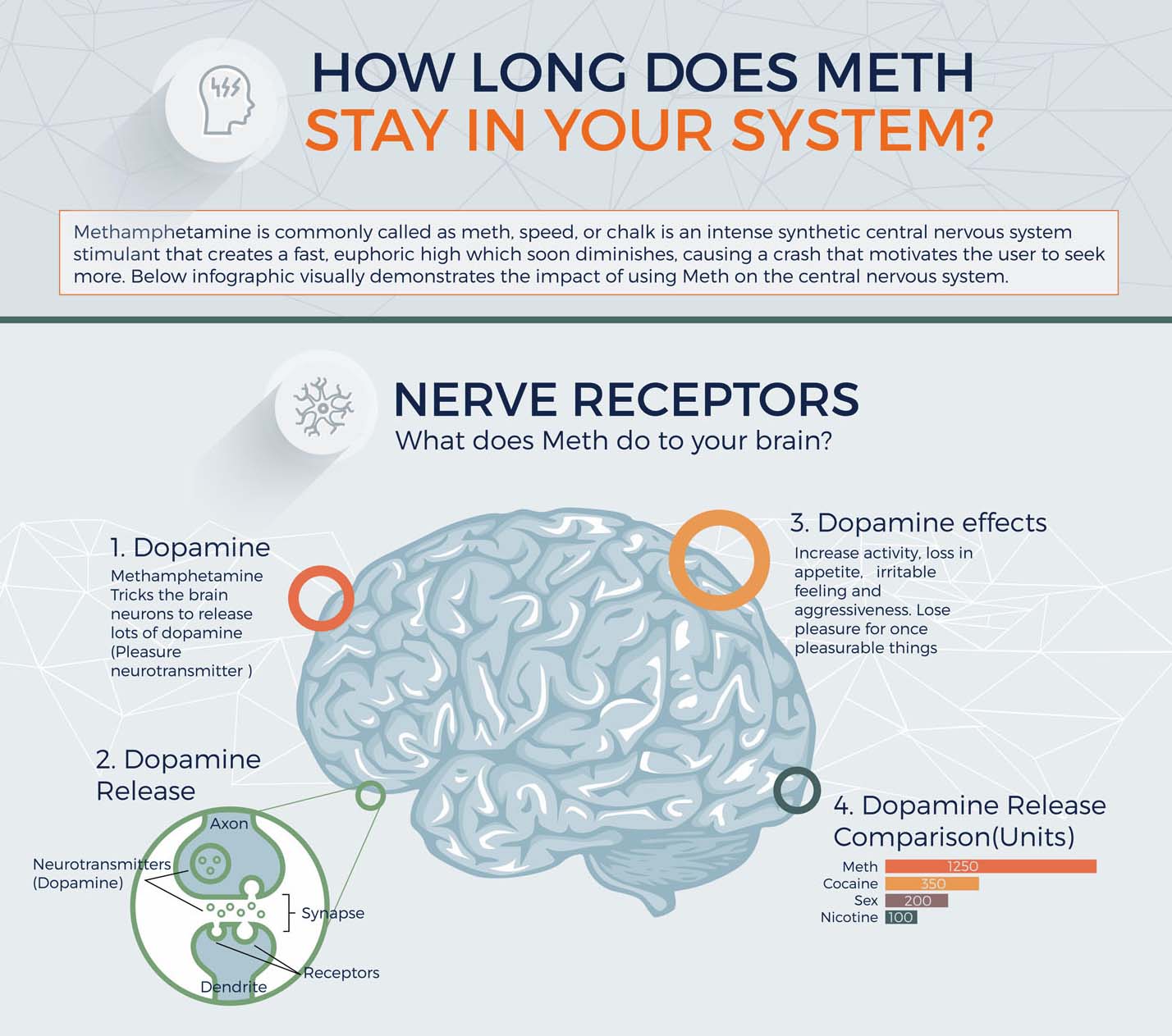 How Long Does Meth Stay In Your System [Infographic]