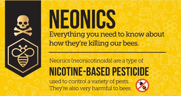 Neonics - How They're Killing Our Bees [Infographic]