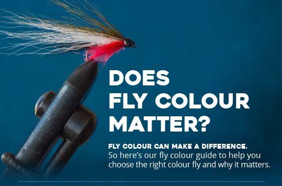 Does Fly Color Matter? [Infographic]