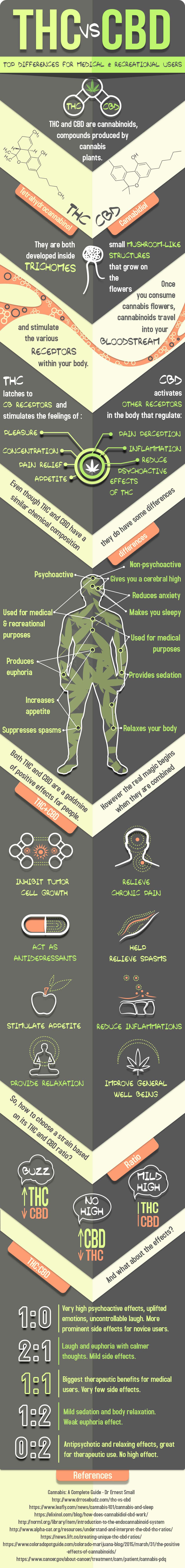THC Vs CBD Top Differences For Medical And Recreational Users THC Vs CBD Top Differences For Medical And Recreational Users