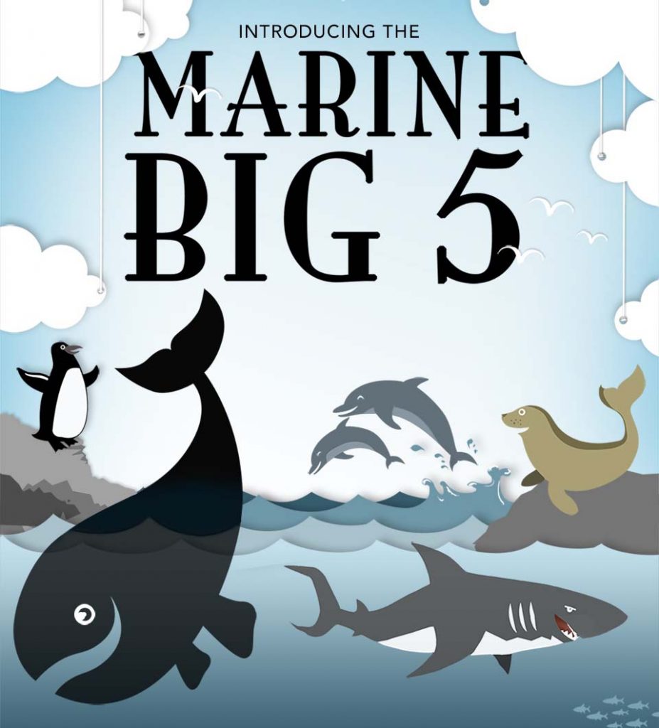 Introducing the Marine Big 5 [Infographic]