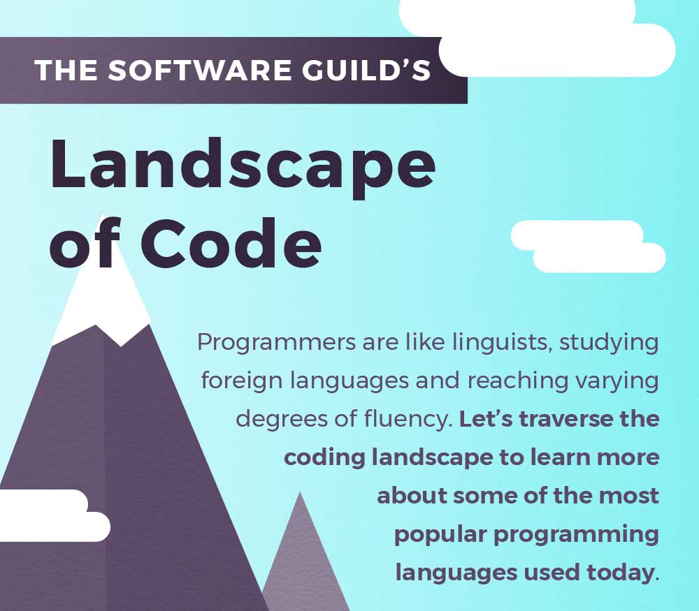 The Landscape of Code [Infographic]