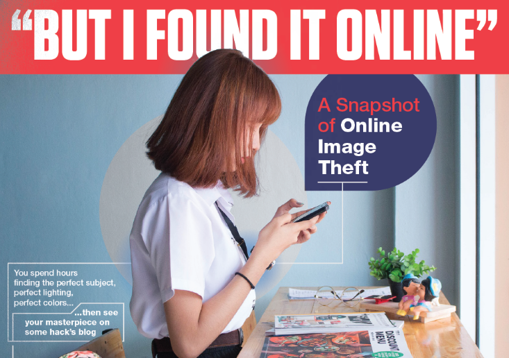 A Snapshot Of Online Image Theft [Infographic]