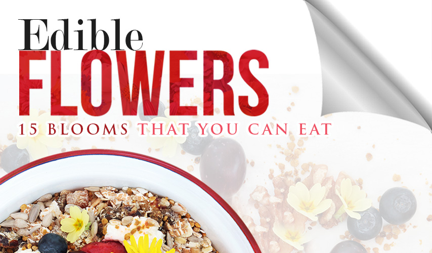 Edible Flowers: 15 Blooms that You Can Eat [Infographic]