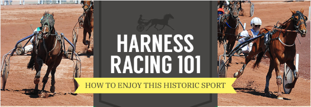 Harness Racing 101 [Infographic]