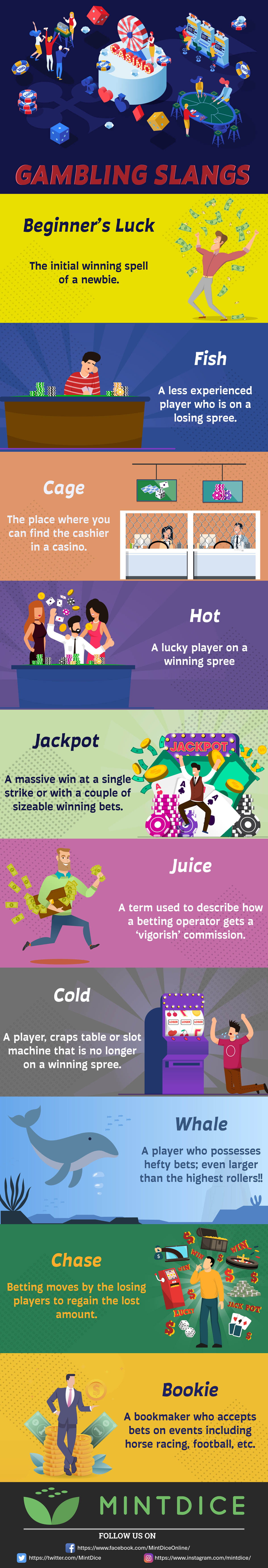 Gambling Slangs Infographic 