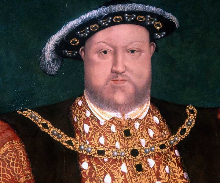 King Henry VIII Historical Infographic