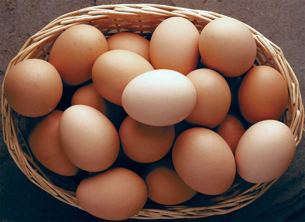 16 Ways to Prepare an Egg (Infographic)