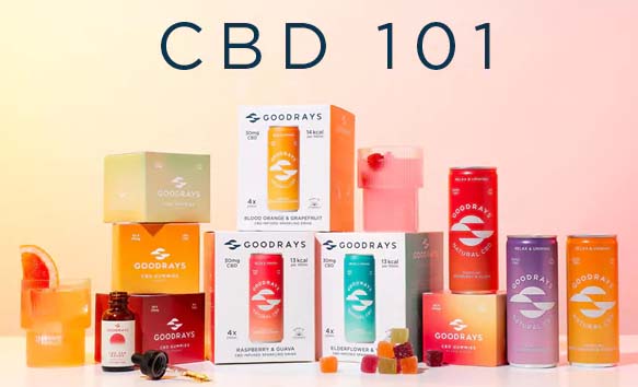 CBD 101 (Infographic)