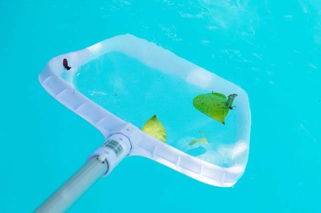 Swimming Pool Maintenance Schedule and Tasks for Beginners (Infographic)