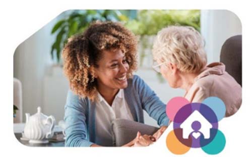 Stroke Risk Factors And Prevention Infographic