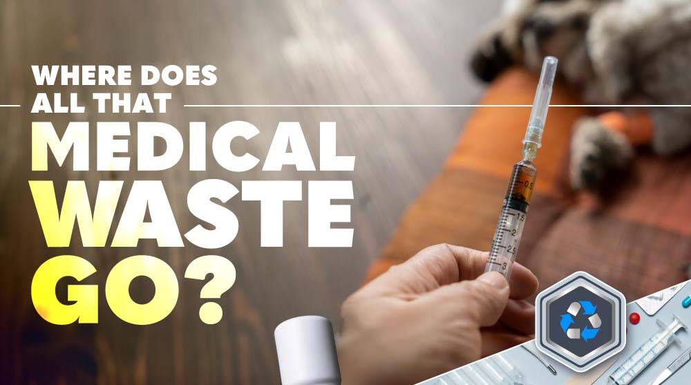 Choosing the Right Medical Waste Service (Infographic)